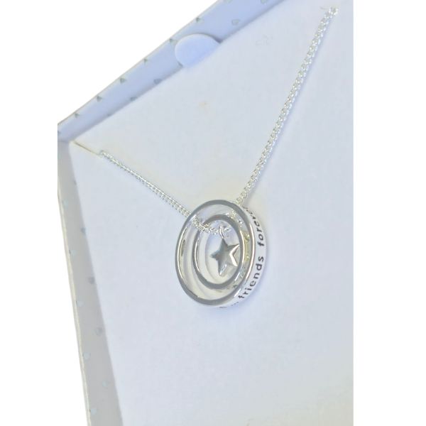 Equilibrium Silver Plated Necklace Double Rings Friend - M De Wet ...